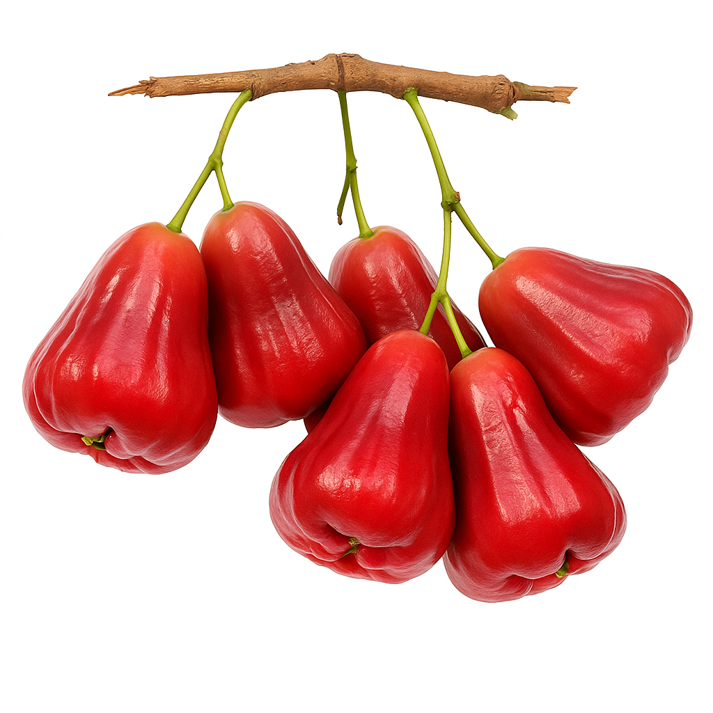 Wax Jambu (Red) – Sweet, crisp & vivid | Tropico-Québec